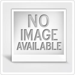 Spector Bridge for Euro Bass 5 String, Gold, EUROBRIDGE5GD | Parts Is ...